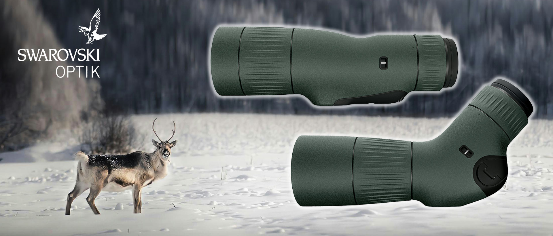 Swarovski AT/ST Balance: Premium-Spektiv für unterwegs im Test